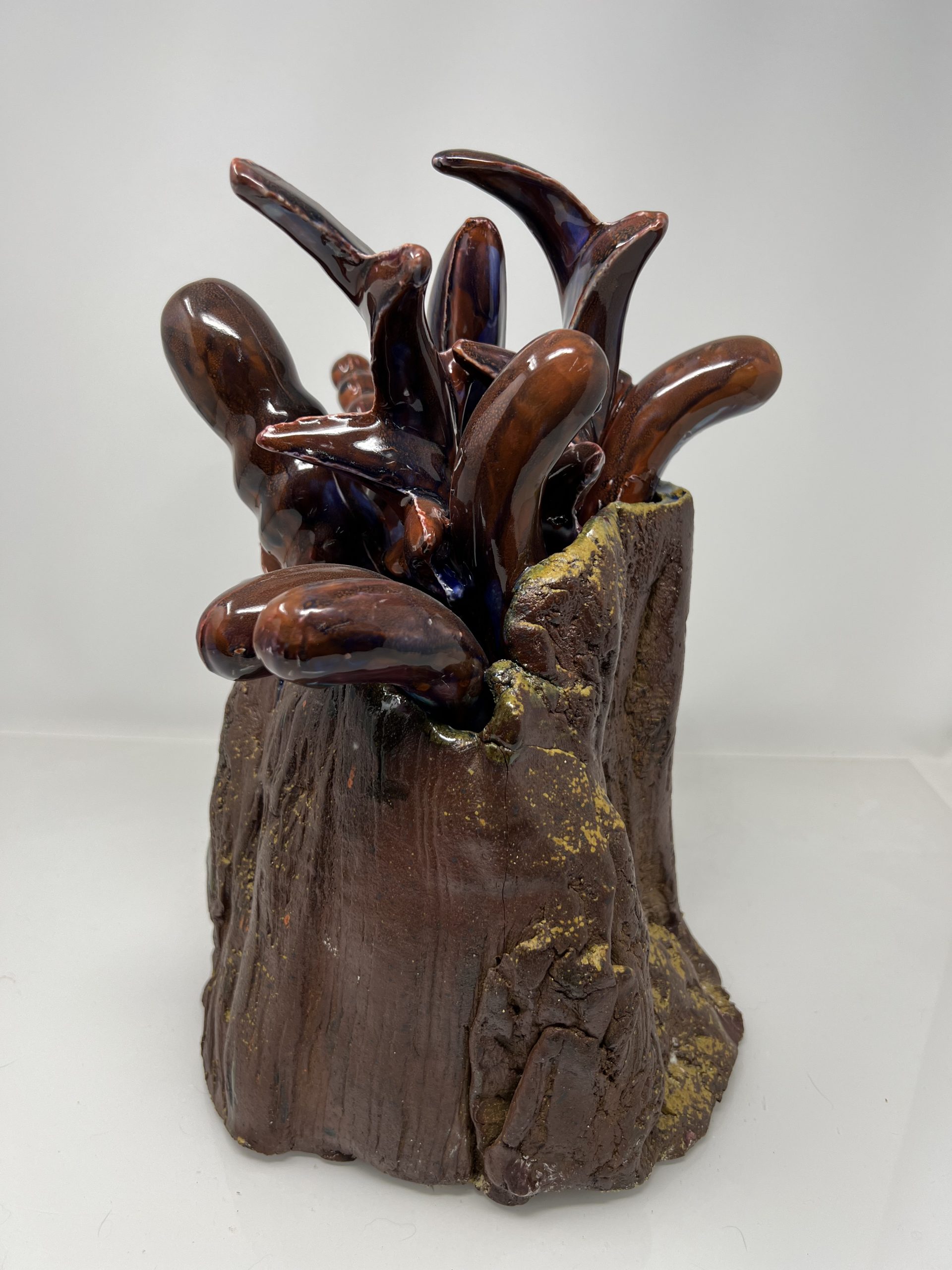 "Cornucopia" art exhibit reception at the Gallery at Towngate